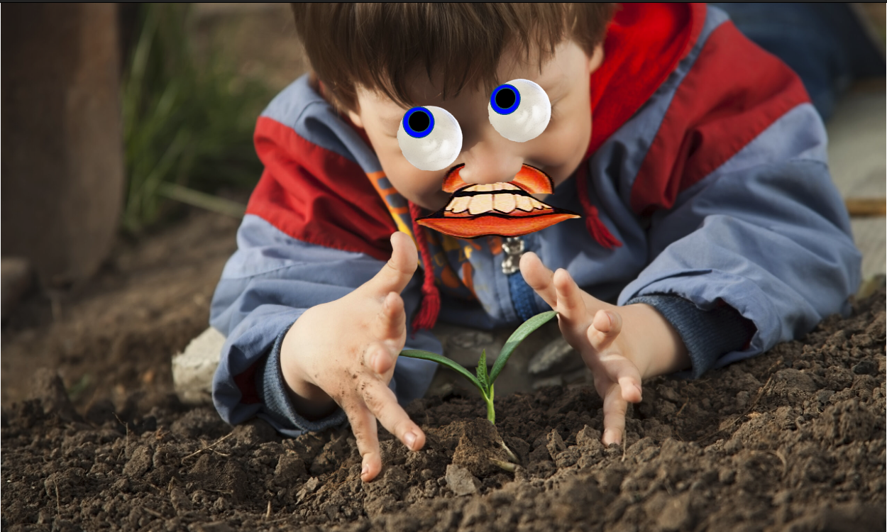 Son, Let Me Get This Straight: Sowing Your Seed Just Couldn't Wait ...